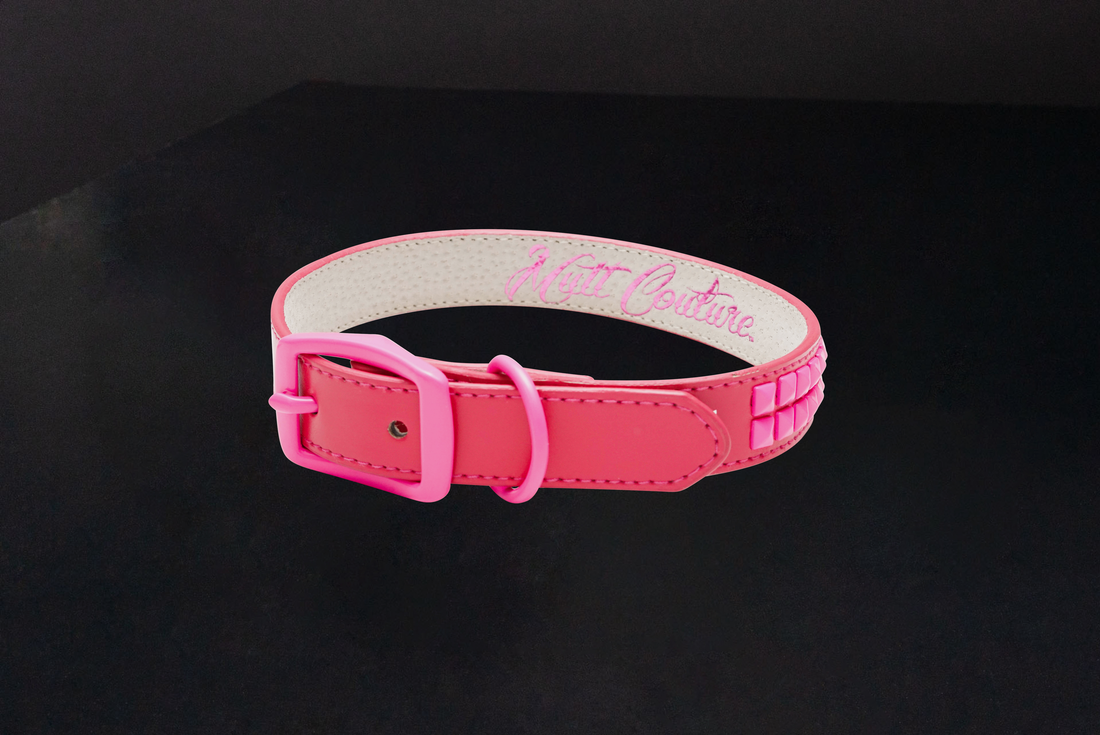 Pink Leather Dog Collar With Pink Studs – Mutt Couture